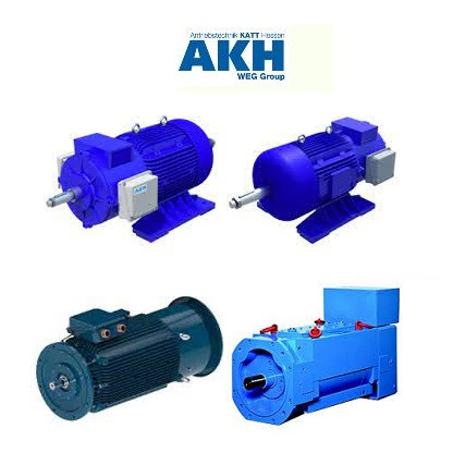 AKH DRKF355/315L-2bbb Blower Motor - AKH | Imtek Engineering - Global ...